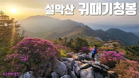 설악산 오픈런 귀때기청봉 털진달래 한계령 장수대 서북능선 등산코스 Seoraksan YouTube