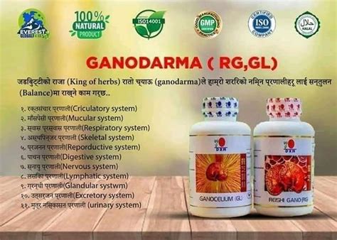 Dxn Reishi Gano Rg 360 Ganocelium Gl 360 Ganoderma Lingzhi Ready