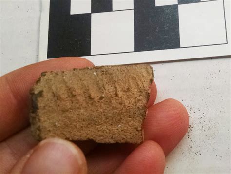 A Ceramic Assemblage From Allendale County South Carolina