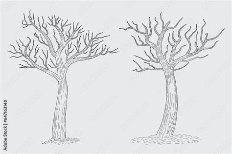 Hand Drawn Winter Bare Tree Sketch Vector Bare Trees Leafless Dead Old