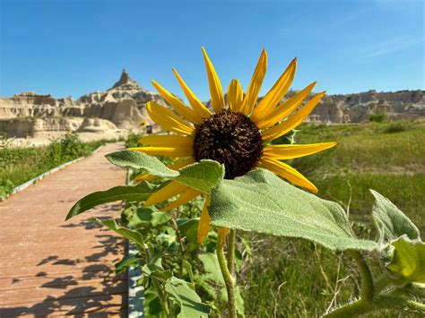 Nicholette And Brian Added A New Photo Nicholette And Brian