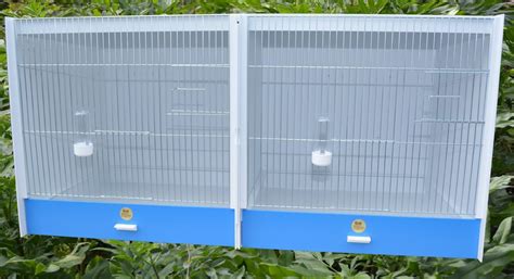 Doppelbox 82cm Breit x 40cm Tief x 50cm Hoch - Graf GmbH