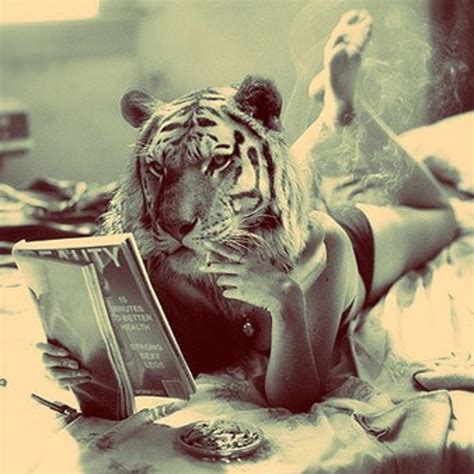 Stream Summer Soffer Listen To Sophomore Playlist Online For Free On Soundcloud