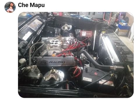 Fan Gallery Chi Heads