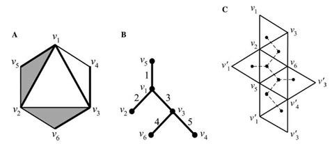 a an octahedron mesh b its vertex spanning tree and c the cut