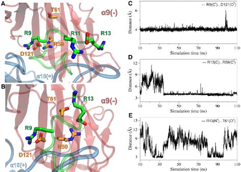 A Close Up View Of The A Ctx Binding Interface From A Representative