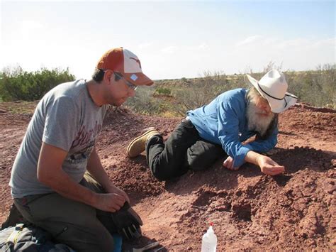 Paleontólogo Del Mnhn Participa En Excavación Paleontológica Museo