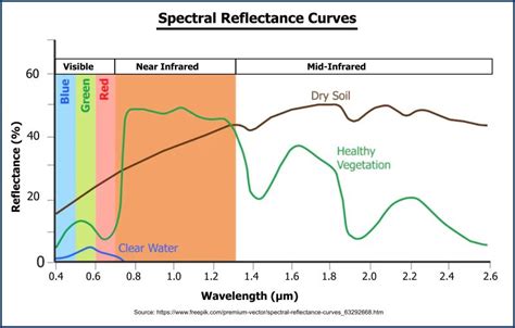 Spectral Reflectance Curves And Their Potential Applications Translated