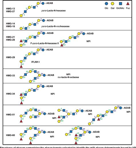 Figure 1 From Structural Characterization By Multistage Mass