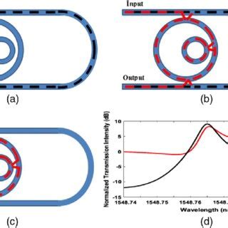 The Light Propagating Pathways Formed The Electric Field At The Output