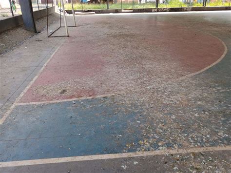 Fezes de pombos em quadra esportiva pode causar crises convulsivas paralisias e até mesmo pneumonia