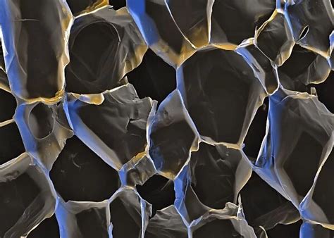 Polystyrene Foam SEM C016 8048 Our Beautiful Wall Art And Photo