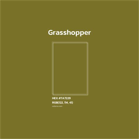 About Grasshopper Color Codes Similar Colors And Paints