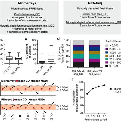 Pdf Systematic Evaluation Of Rna Quality Microarray Data Reliability