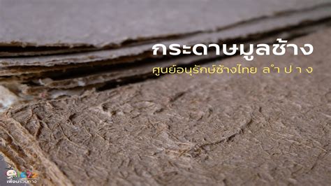 กระดาษมูลช้าง ศูนย์อนุรักษ์ช้างไทย ลำปาง Tat Contact Center