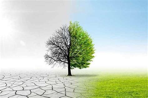 دراسة توضح اثر التغيرات المناخية علي الهجرة تعرف علي التفاصيل