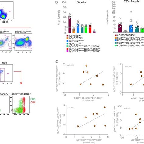 Assessment Of The Tonsillar Cellular Composition With Multiparametric Download Scientific