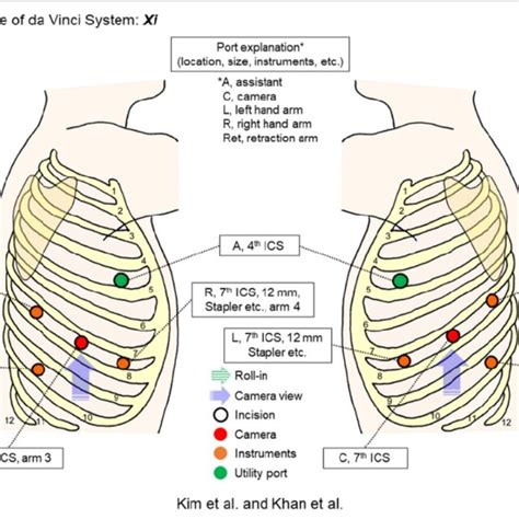Kim Et Als 10 R And Khan Et Als 11 L Setting Download