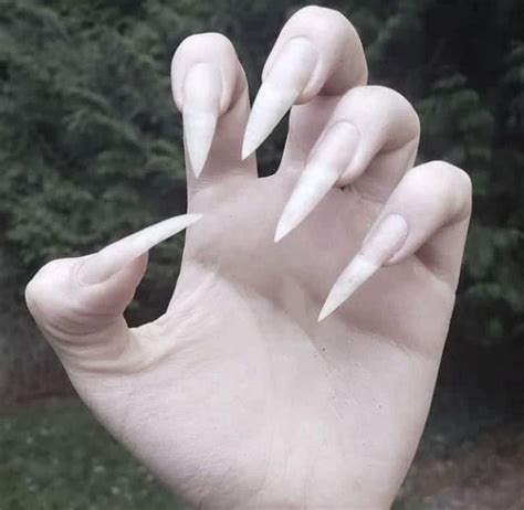 20 Siren Oc First Oc Ideas Mermaid Aesthetic Siren Siren Mermaid