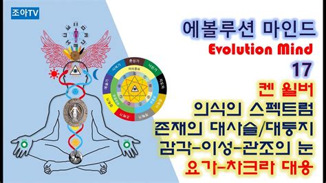 에볼루션 마인드 17강 켄 윌버 의식의 스펙트럼 윌버2형존재의 대사슬대둥지3개의 눈관조마음감각요가 차크라 시스템과의 대응 Youtube