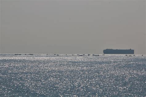 豊予海峡 By Ddy （id：9718058） 写真共有サイトphotohito