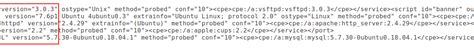 Tsunami Google Vulnerability Scanner Installation And Usage Guide Secnhack
