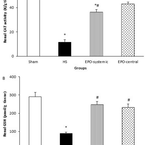 The Effect Of Centrally And Systemically Administered Erythropoietin On