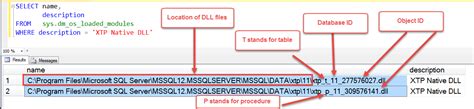 Sql Server Location Of Natively Compiled Stored Procedure And Naming Convention Sql