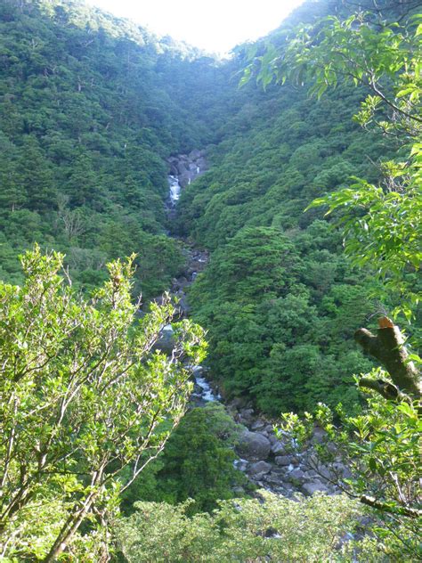 源頭の風景を求めて・・・ 愛子沢～ゲンタンクボ・屋久島沢登り記録