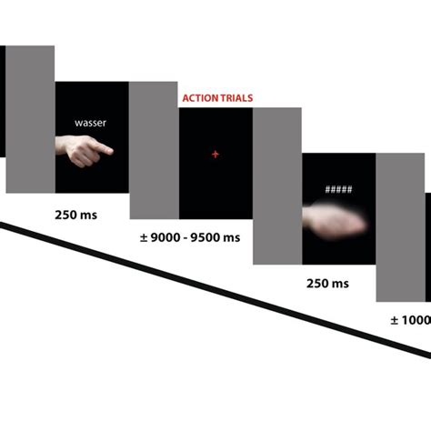 Schematic Illustration Of Task And Stimulus Presentation Sequences The Download Scientific
