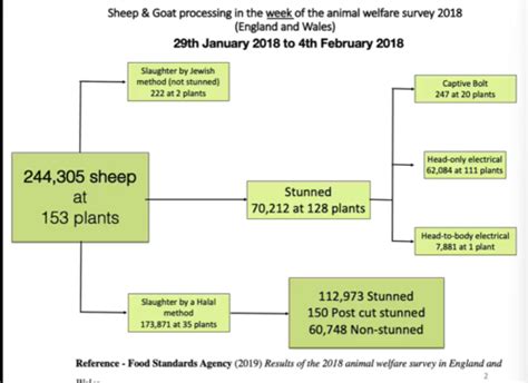 Overview Of Abattoir Processes Flashcards Quizlet