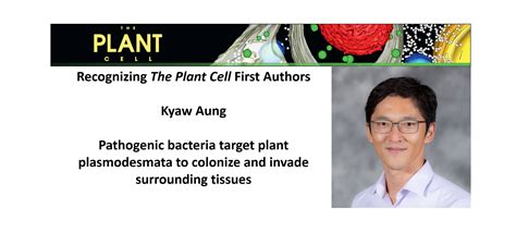 Recognizing Plant Cell Authors Kyaw Aung Plantae