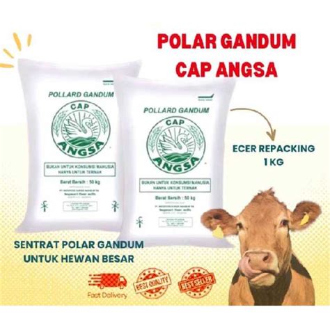 Jual Polar Gandum Ecer 1 Kg Dedak Gandum 1 Kg Pakan Ternak Pollard