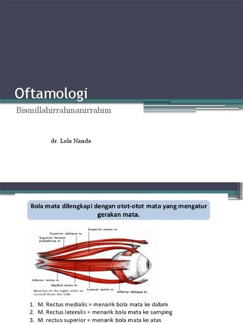 Oftalmologi Pdf