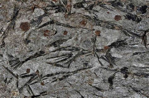 Pegmatite An Intrusive Igneous Rock