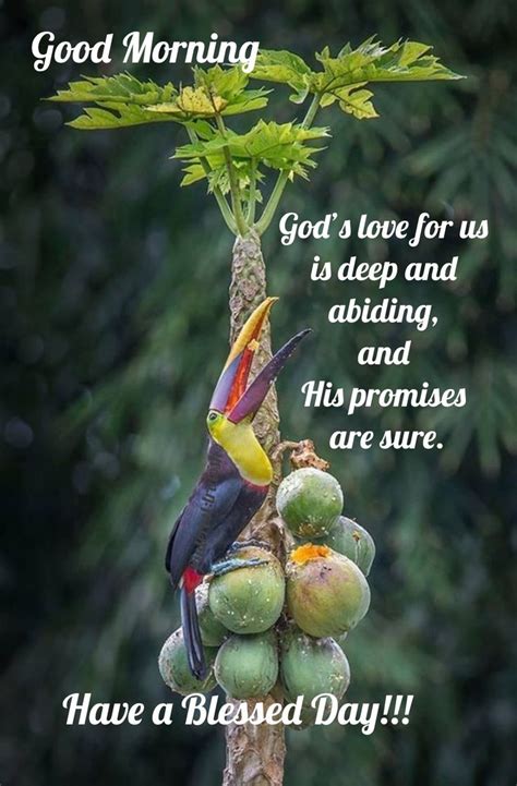 Pin By Rita Rathod On Good Morning Good Night Good Morning Animated