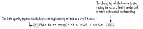 Html Basics Vskillstutorial