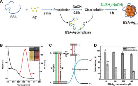 A Schematic Illustration Of The New Synthesis Protocol Leading To The