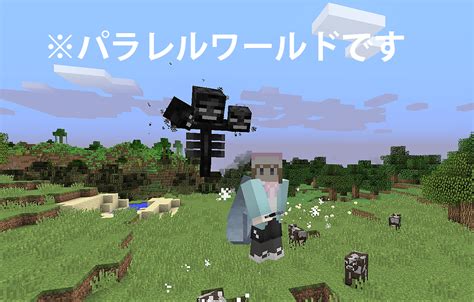 画像 マインクラフト ウィザースケルトン 735051 マインクラフト ウィザースケルトン 湧き条件