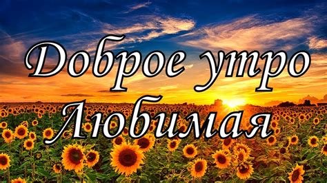 Картинки С Добрым Утром Любимая Жена Леночка Telegraph