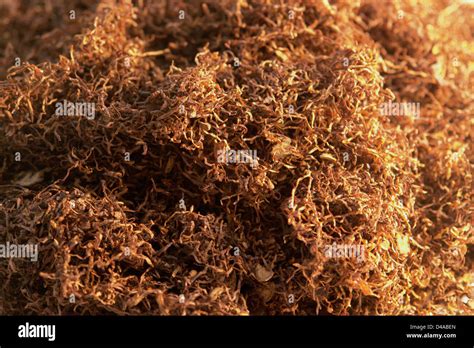 Abstract Full Frame Background Showing Closeup Fine Cut Tobacco Stock