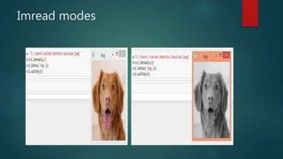 OpenCV Presentation Series Part PPTX Programming Languages Computing
