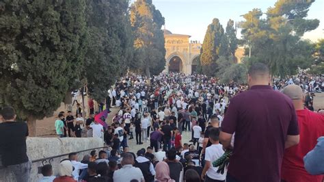 المسلمون يحتفلون بعيد الأضحى حول العالم والملايين يؤدون