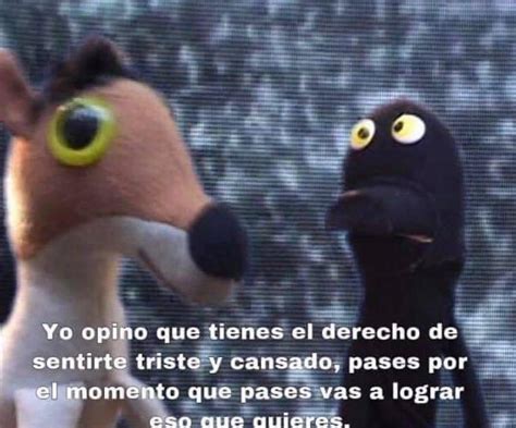 Estrellas Fugaces