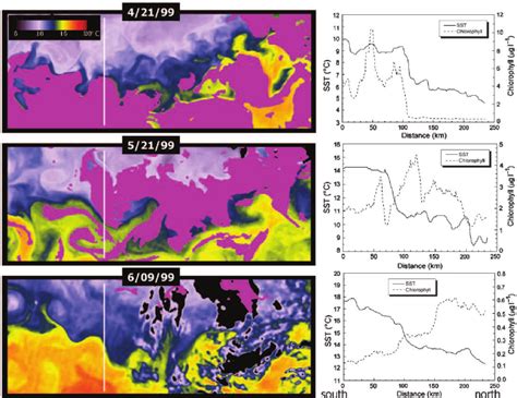 Spatial And Temporal Variability Of Sst And Chlorophyll At The Subpolar