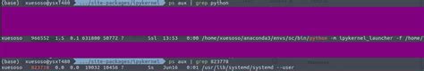 Kernel Runs In Background When Frontend Is Killed · Issue 221