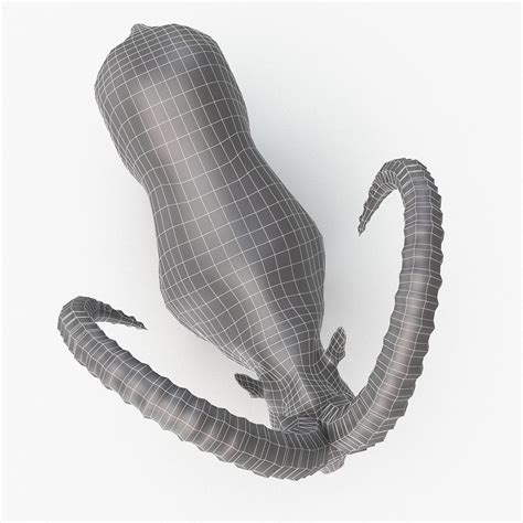 Ibex 3d Model 59 3ds Fbx Obj Max Free3d