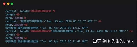 作为后端开发人员应该懂的tcp、、socket、socket连接池，一文详解丨linux后端开发 知乎