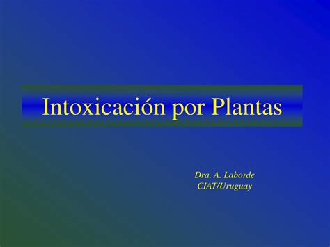 PPT Intoxicación por Plantas PowerPoint Presentation free download ID 593373