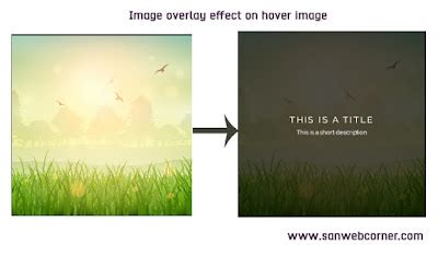 Image Overlay Effect On Hover Using Css